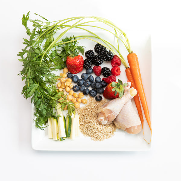 Freeze-Dried Chefs' Choice Chicken Entrée – Your Pets' Chef